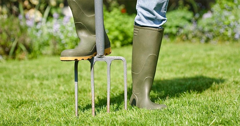 Perfect Your Gardening With the Best Garden Fork