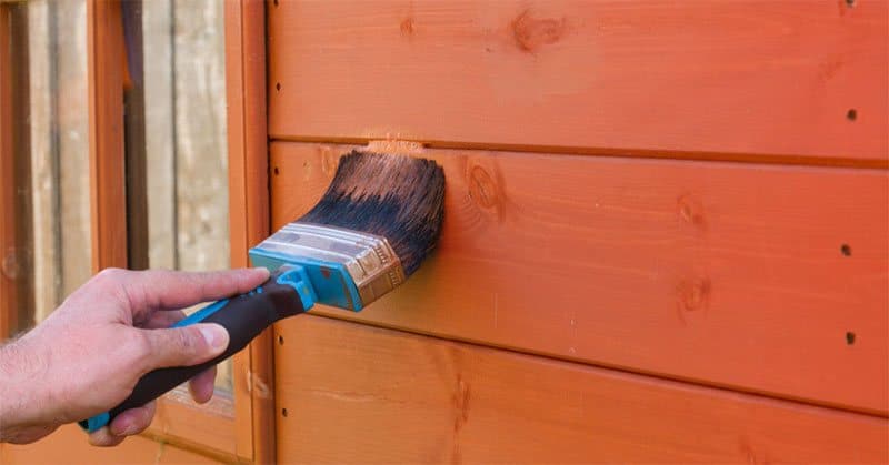 Best Shed Paint Money Can Buy (A Complete 2022 Guide)